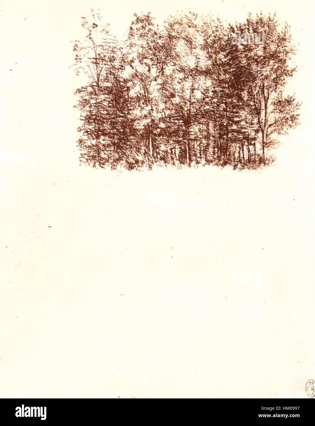 Leonardo drawing of trees hi-res stock photography and images - Alamy
