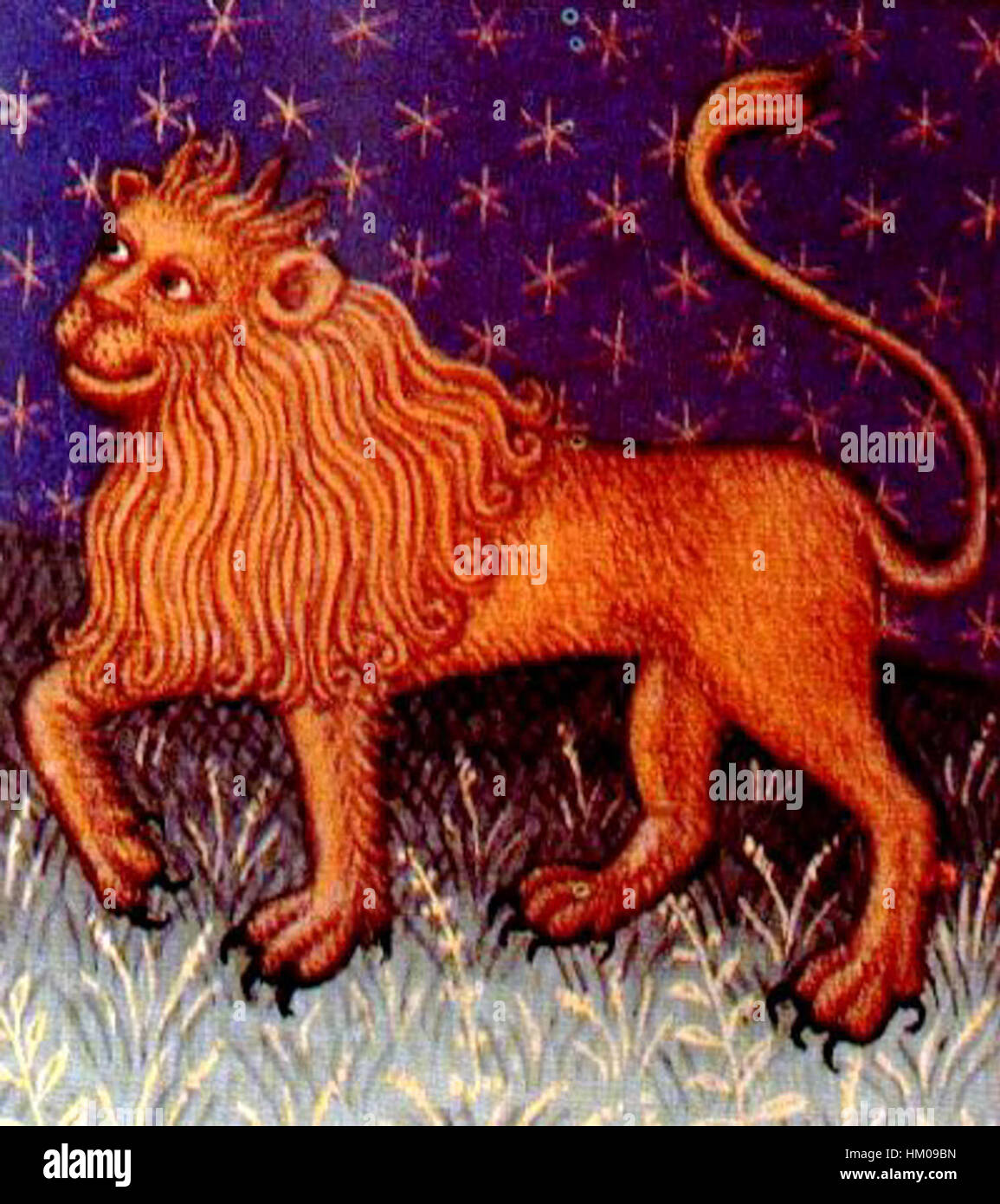 Leo2 hi-res stock photography and images - Alamy