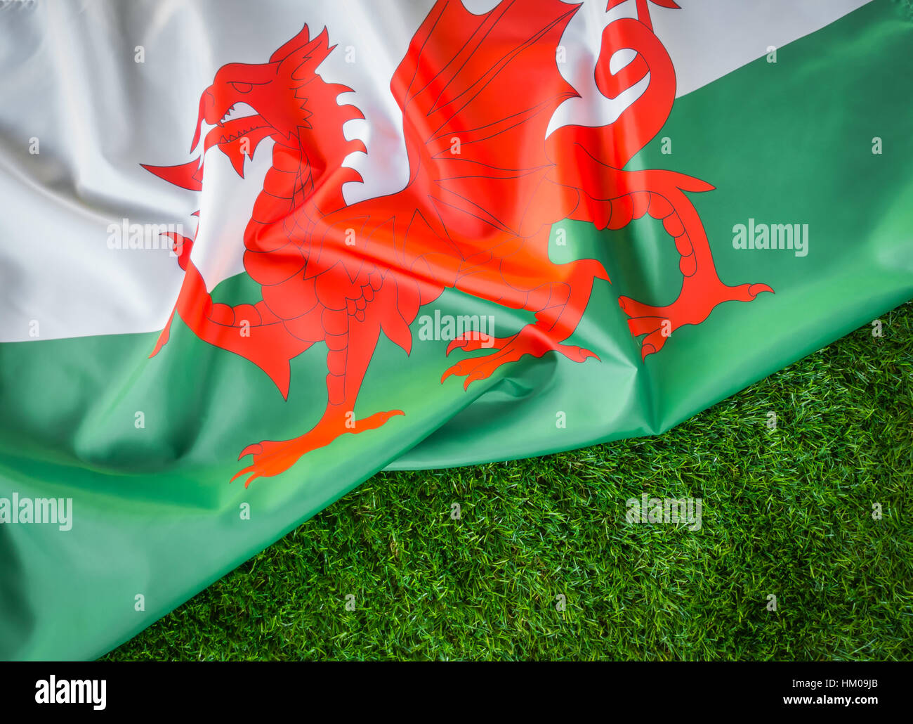 Flags of Wales on green grass Stock Photo - Alamy