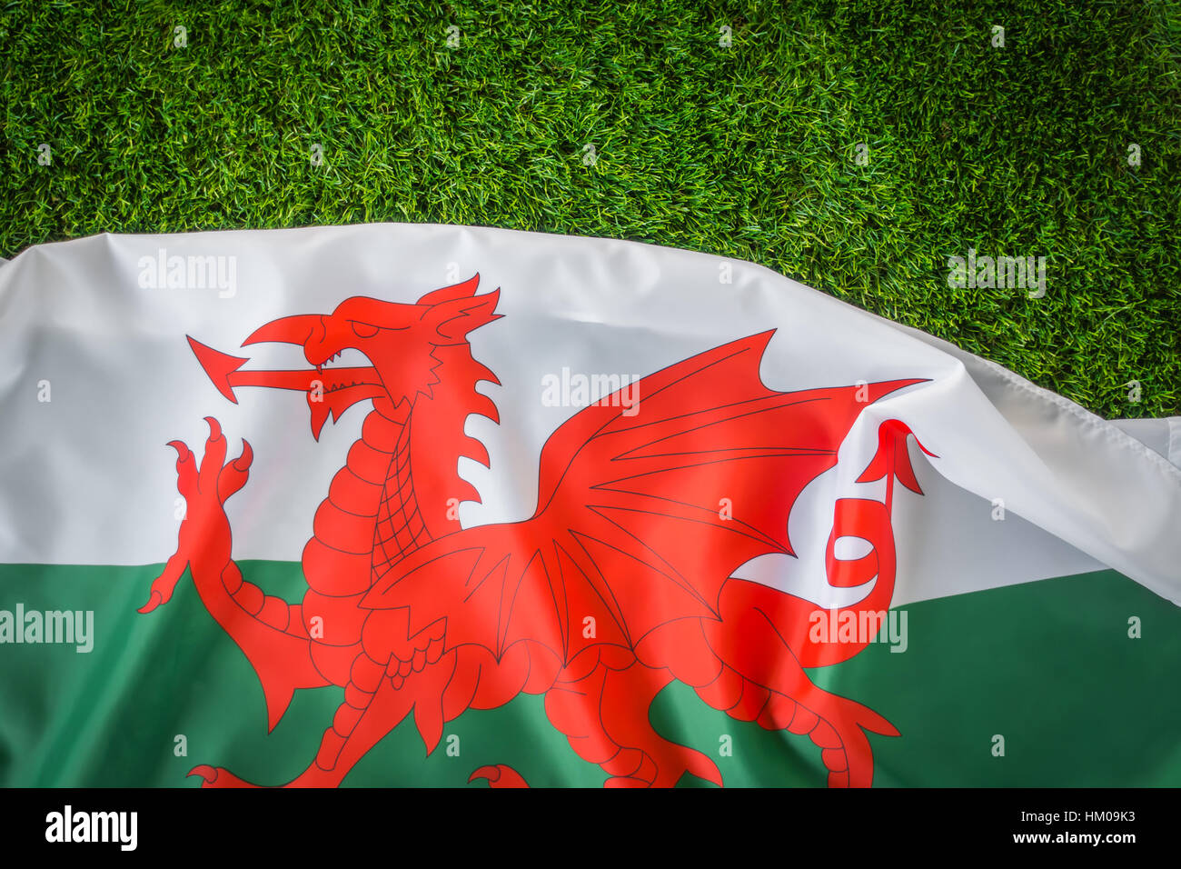 Flags of Wales on green grass Stock Photo - Alamy