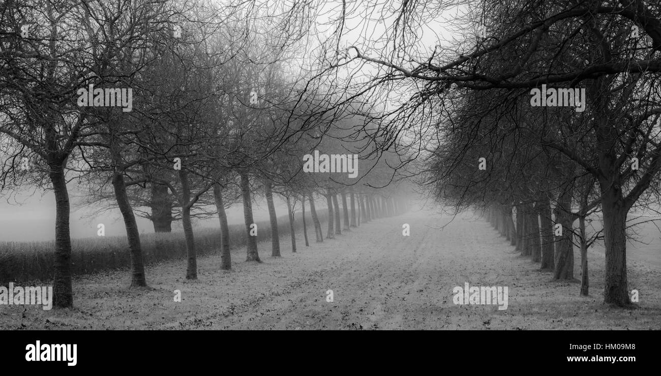 England windsor park Black and White Stock Photos & Images - Alamy