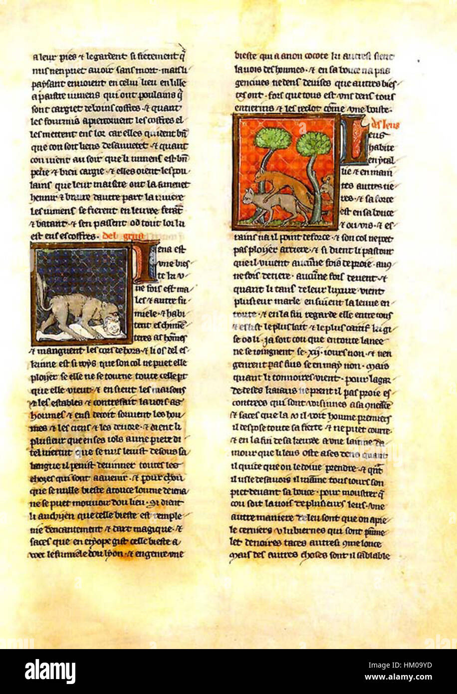 Medieval alchemy hi-res stock photography and images - Alamy