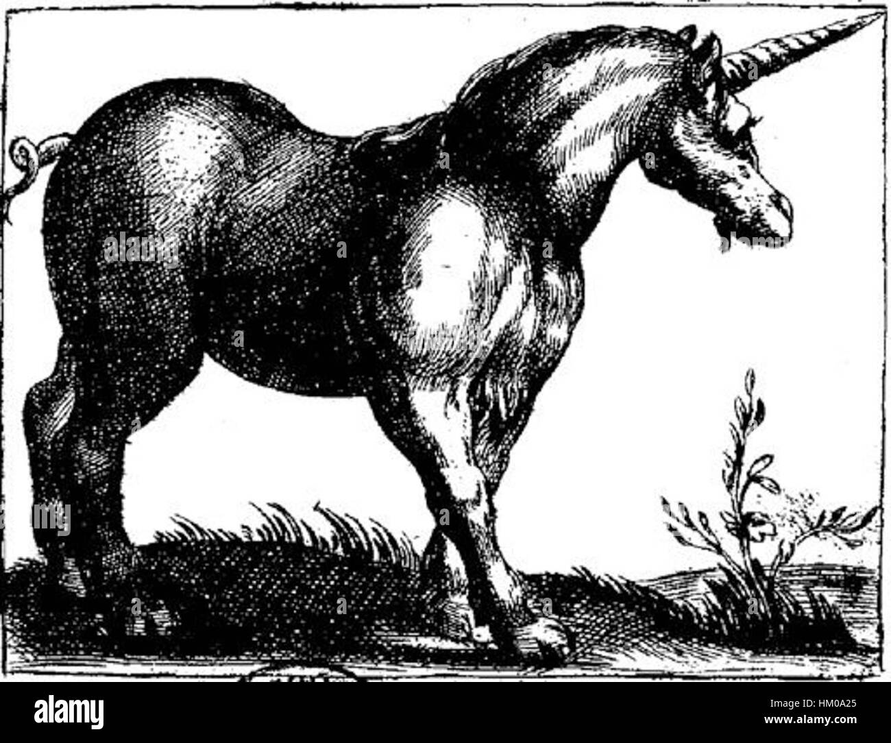 'Licorne Madrid 1658' is a historical painting depicting a famous event ...