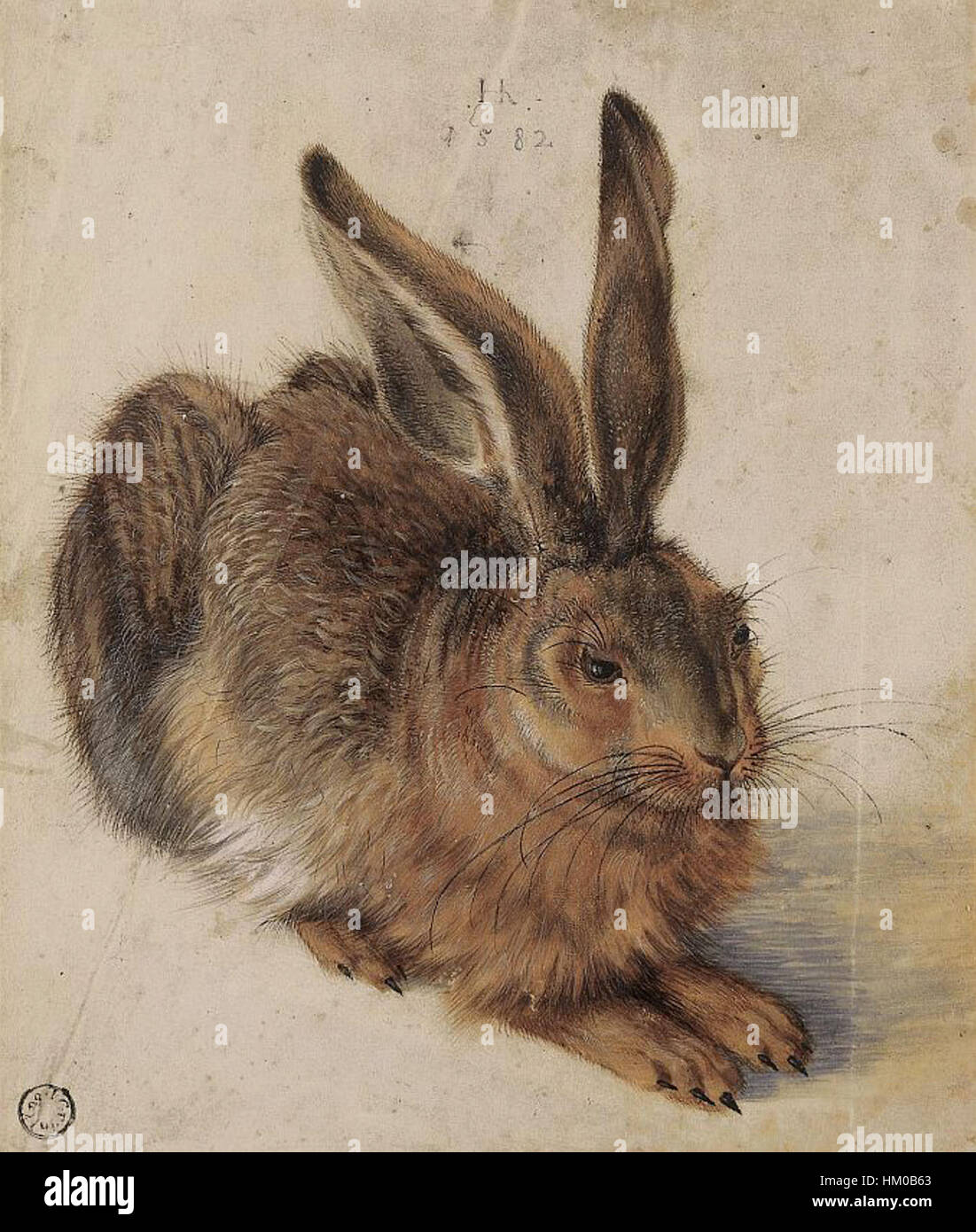The 1582 painting 'Hare' by Hans Hoffmann captures the essence of early ...