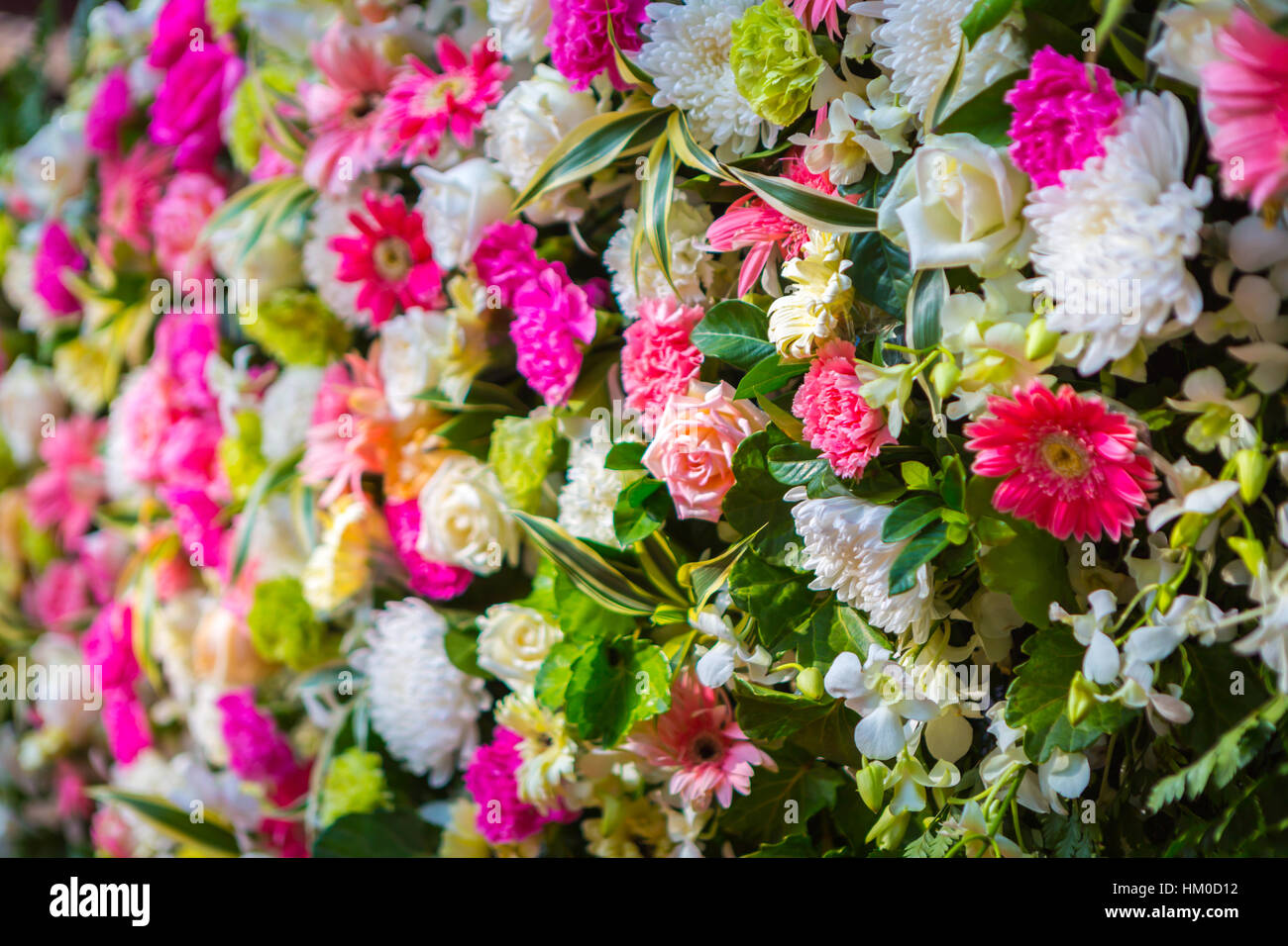 Colorful Bunch of flowers Stock Photo - Alamy