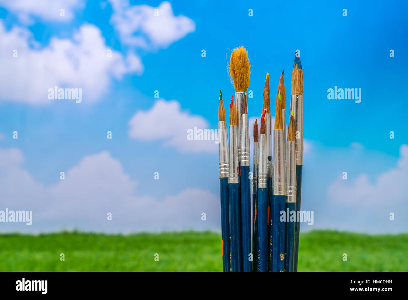 Paintbrush with blue sky Stock Photo - Alamy