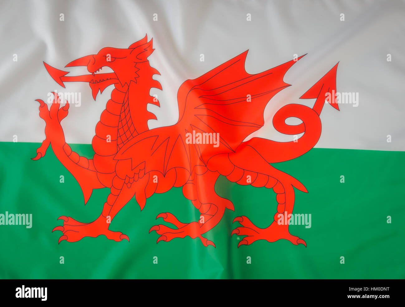 Flags of Wales Stock Photo - Alamy