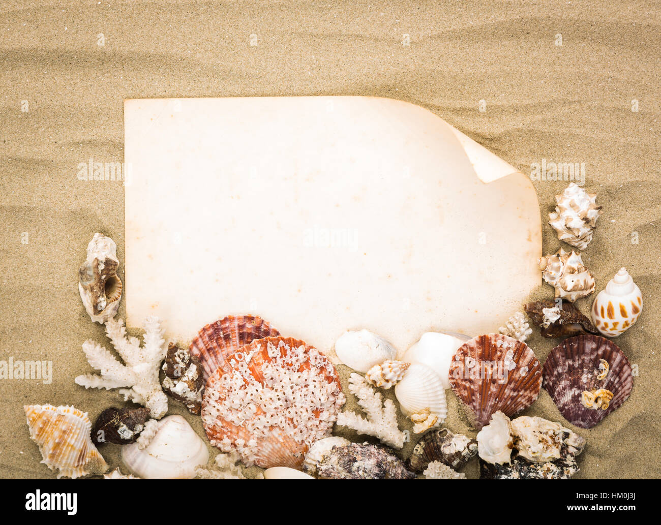 Sea shells on beach sand with old paper. Summer background Stock Photo ...