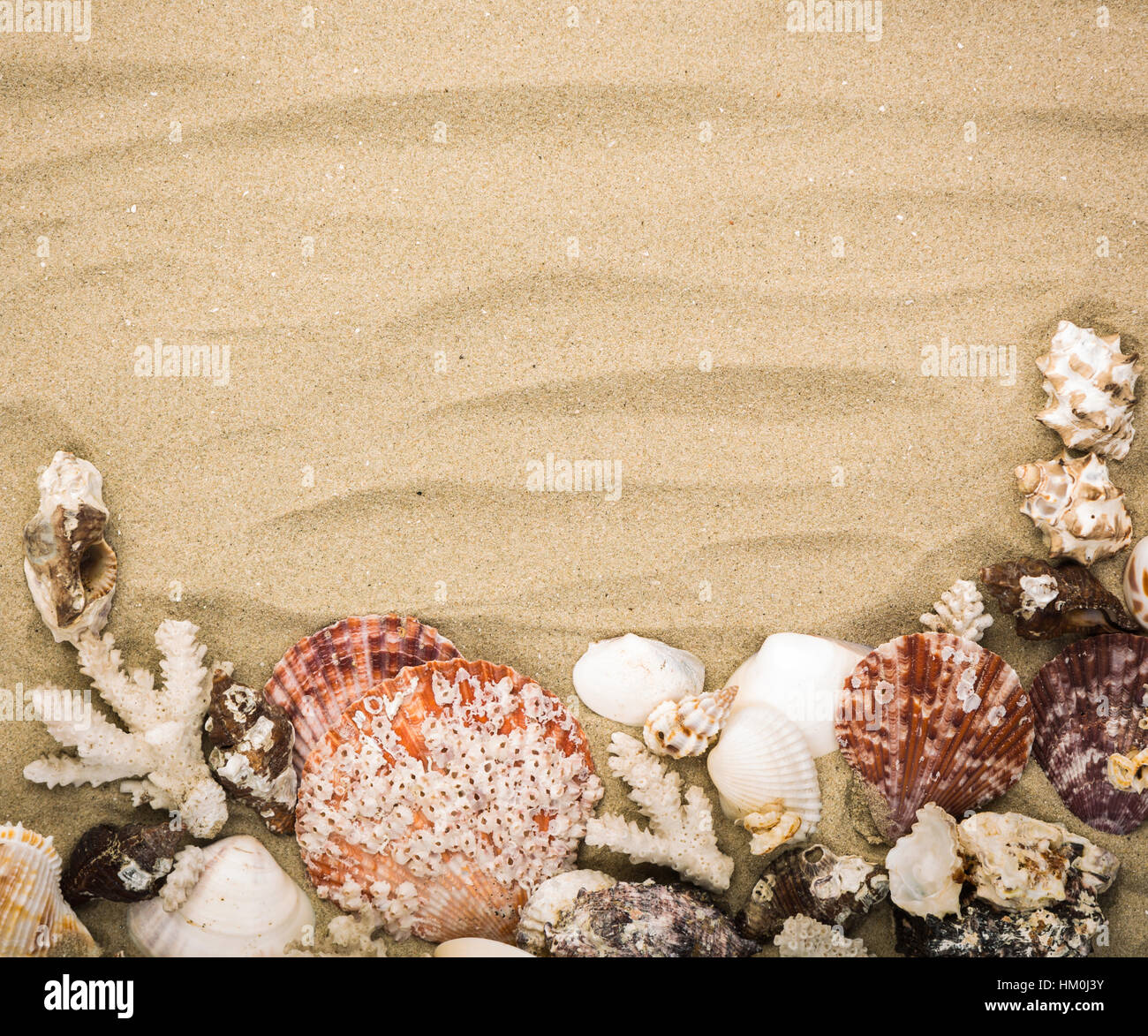 Sea shells on beach sand . Summer background Stock Photo - Alamy