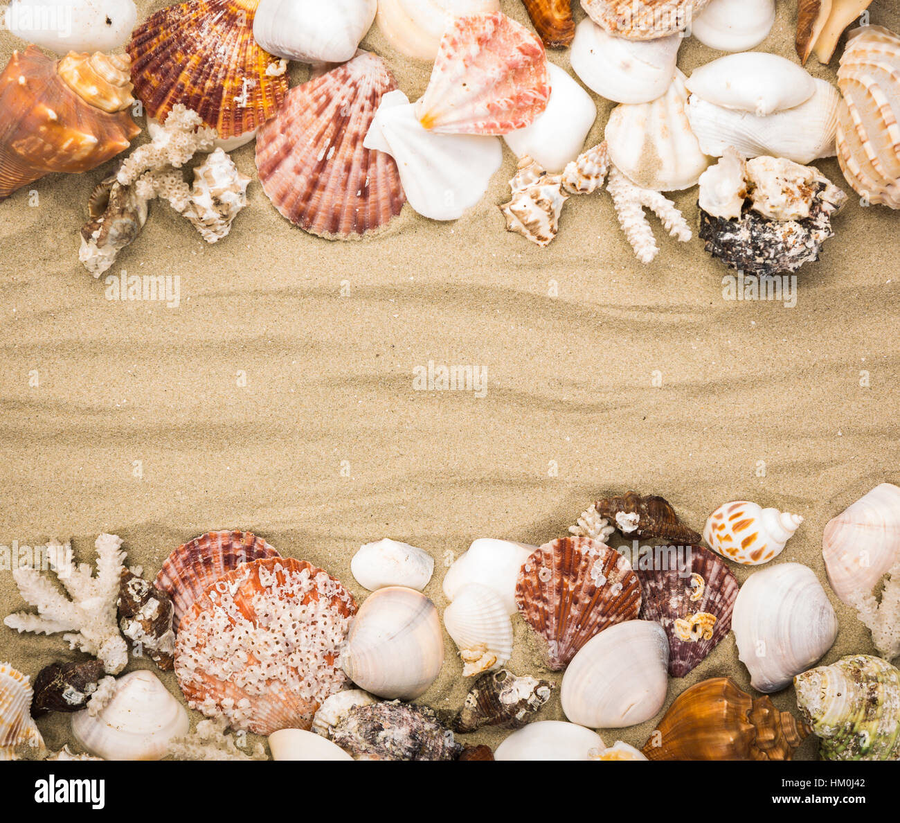 Sea shells on beach sand . Summer background Stock Photo - Alamy