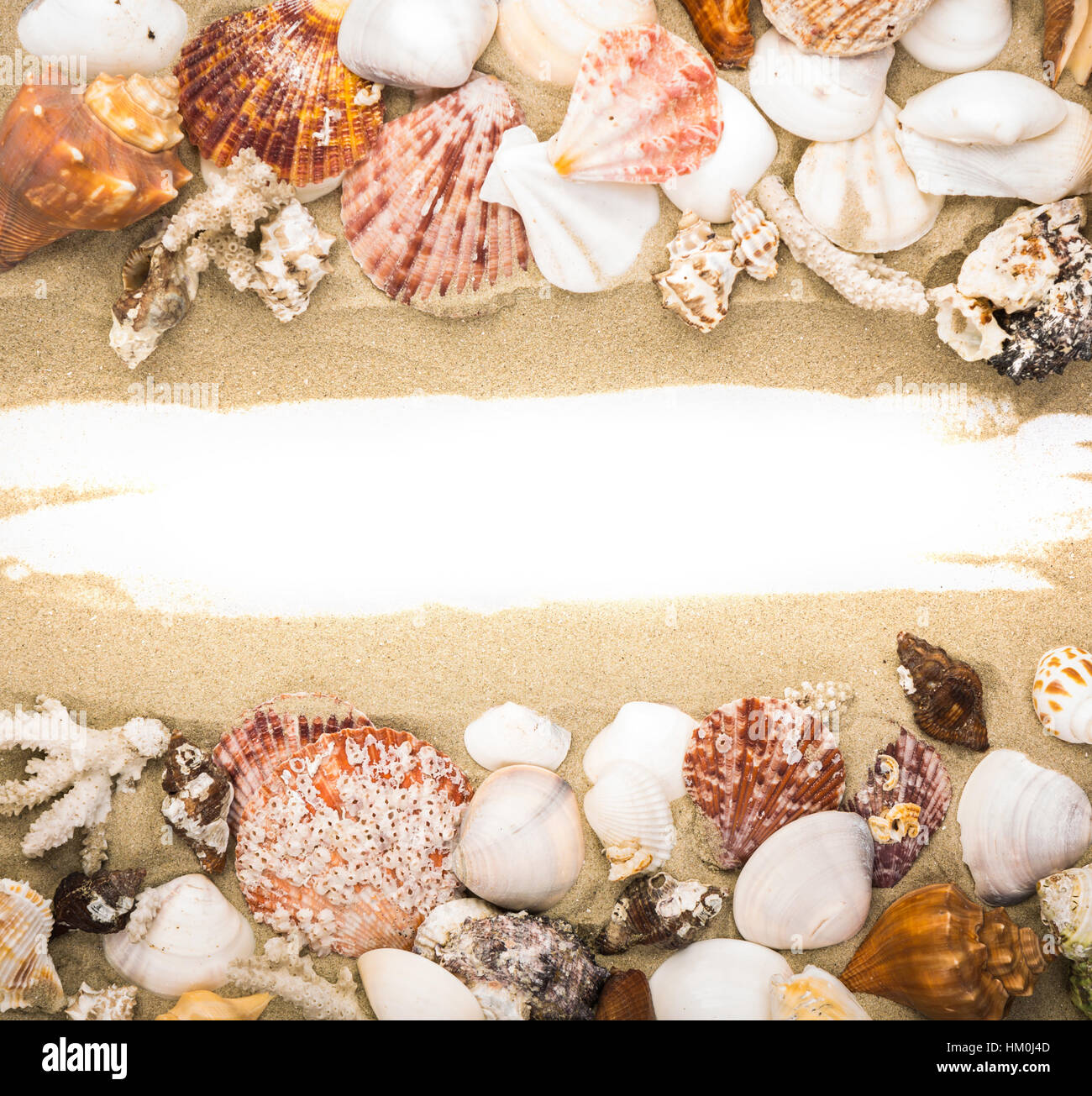 Sea shells on beach sand . Summer background Stock Photo - Alamy