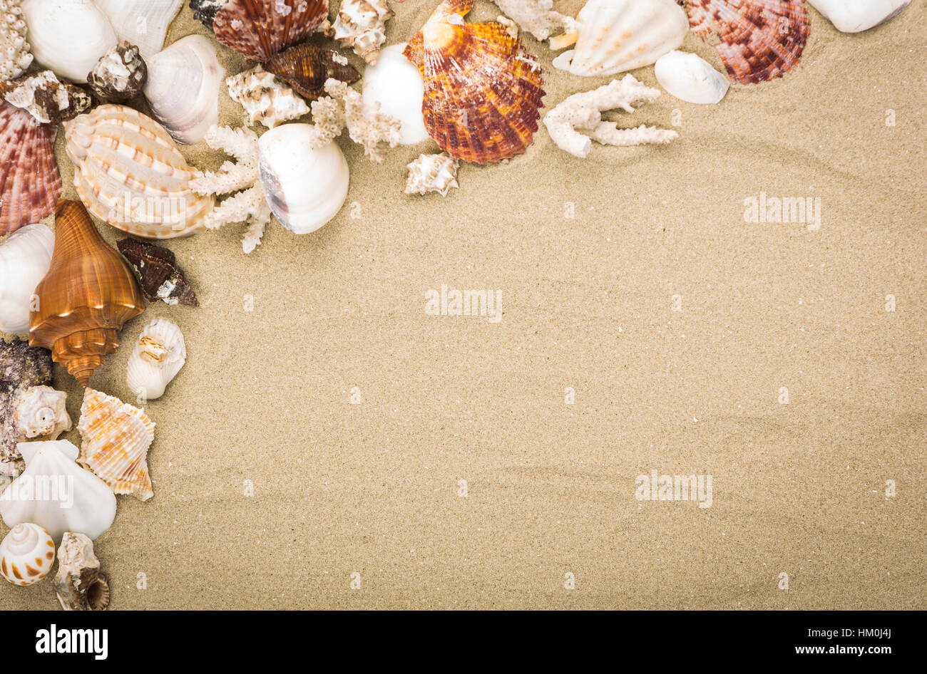 Sea shells on beach sand . Summer background Stock Photo - Alamy