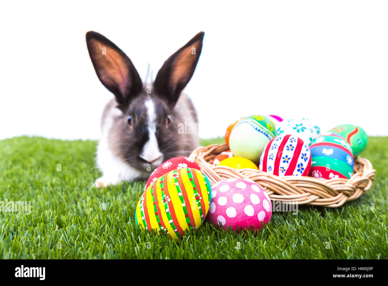 Rabbit and easter eggs in green grass Stock Photo - Alamy