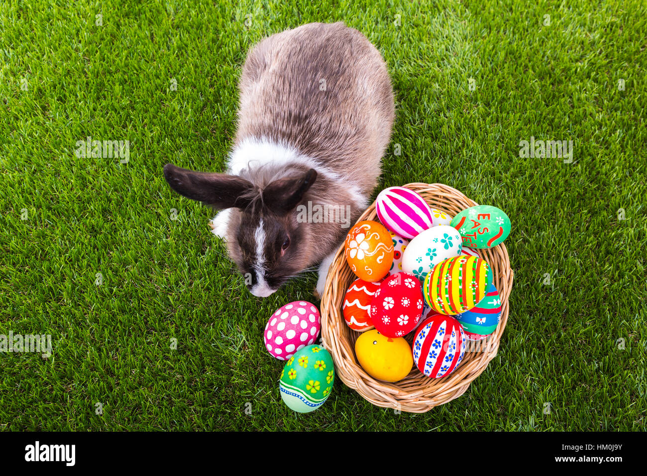 Rabbit and easter eggs in green grass Stock Photo - Alamy