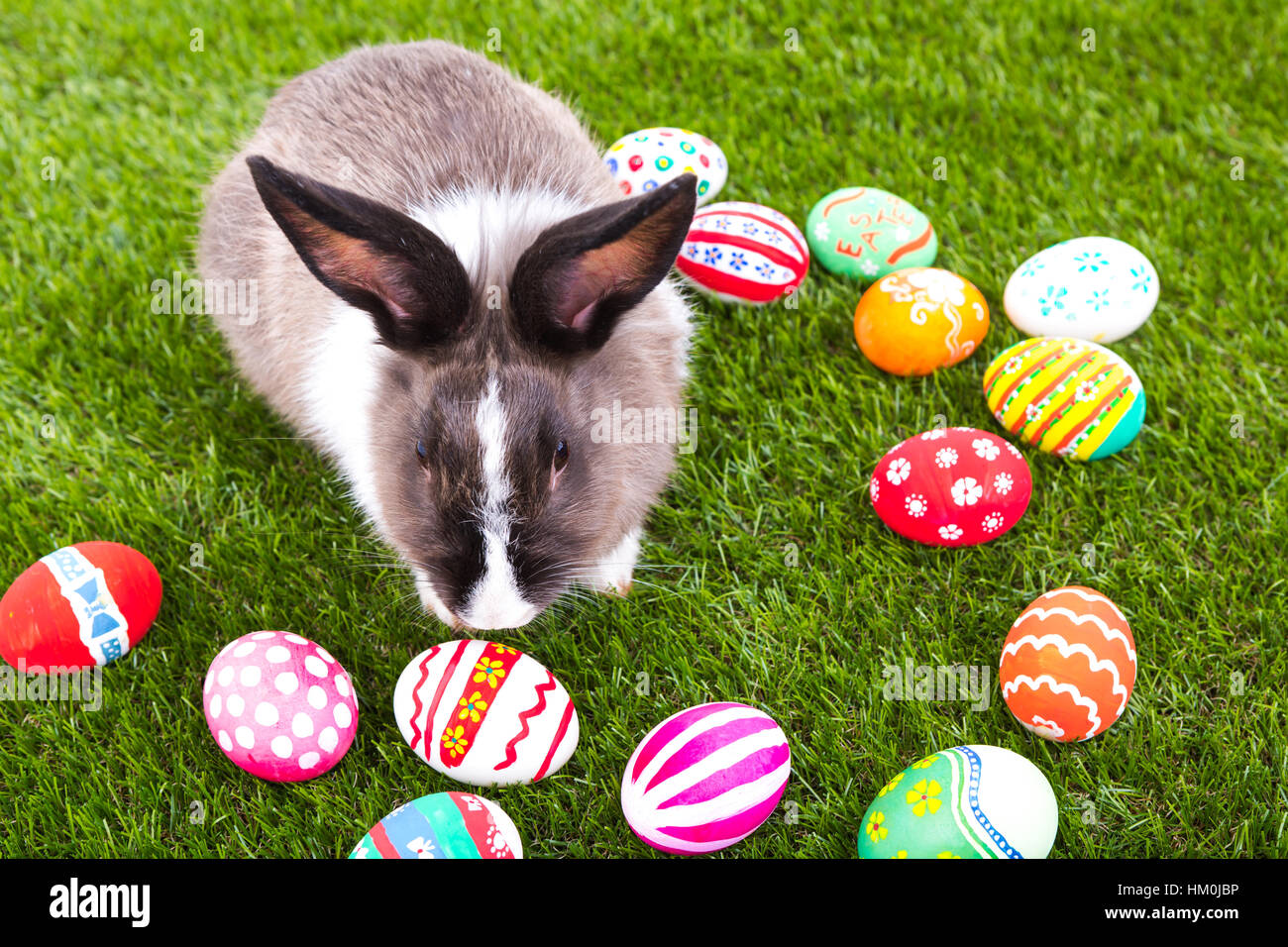 Rabbit and easter eggs in green grass Stock Photo - Alamy