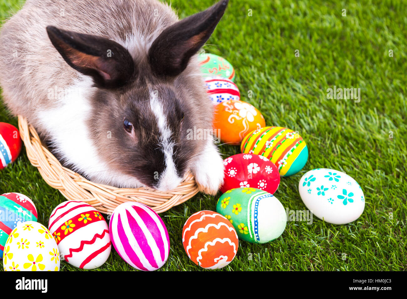 Rabbit and easter eggs in green grass Stock Photo - Alamy
