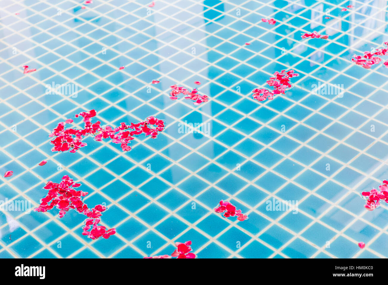 Floating red roses in swimming pool Stock Photo - Alamy