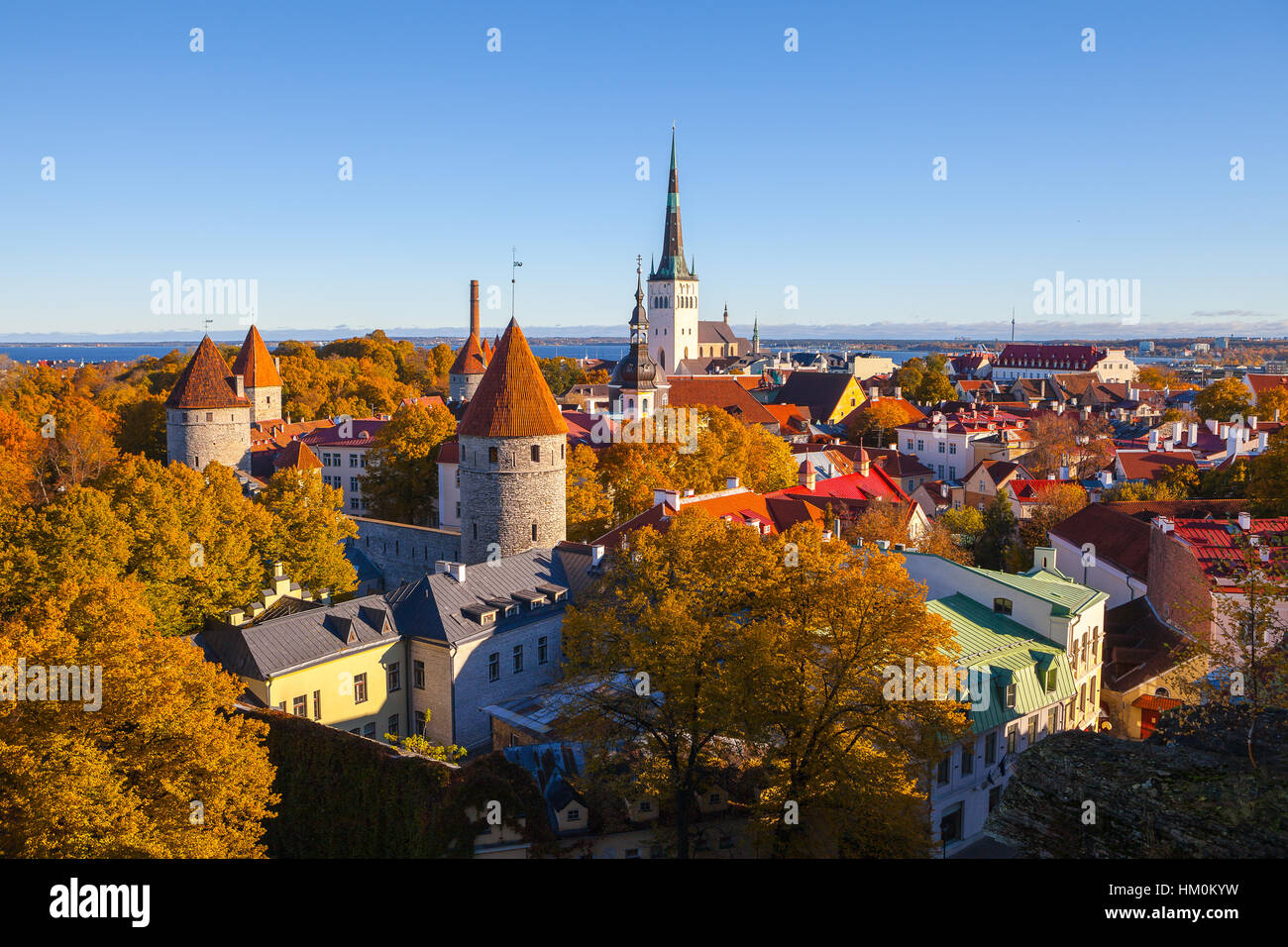 Old City Town Tallinn in Estonia. Sunny autumn day with gold leaves on ...