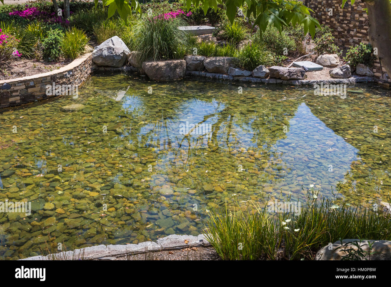 clear stream with rocky bottom and plants on bank in park Stock Photo ...