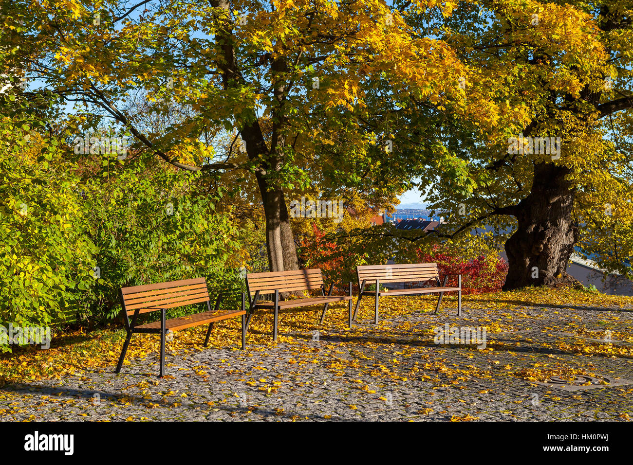 Empty benches park autumn hi-res stock photography and images - Alamy