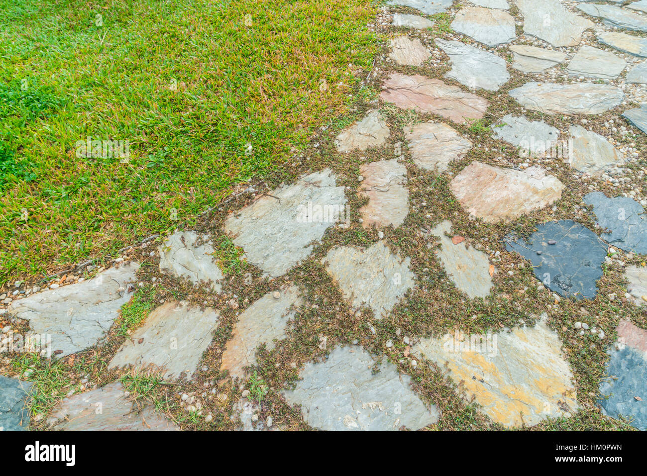 The Walk path in the park with green grass Stock Photo - Alamy