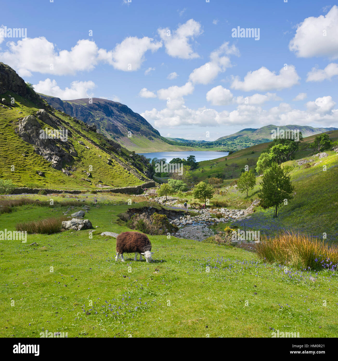View from Rannerdale looking towards Crummock Water, Lake District ...