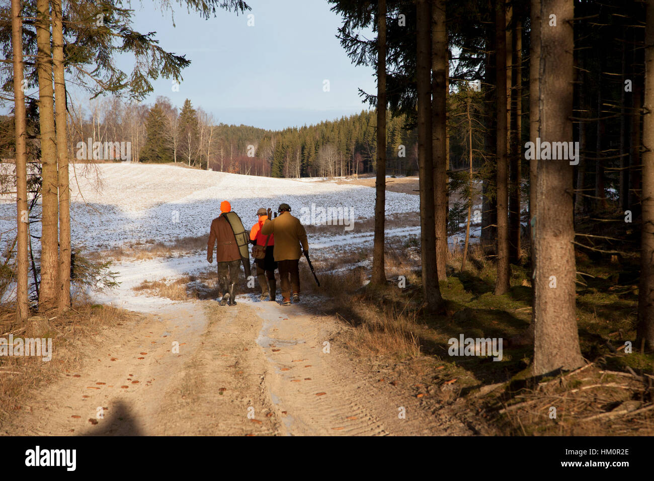 Three hunters with rifles on their way to hunt Stock Photo - Alamy