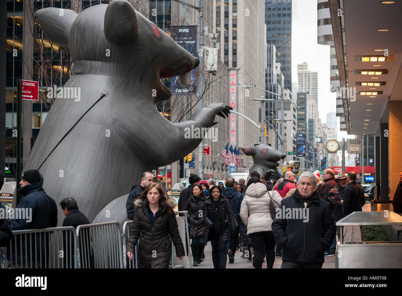 Union rat hi-res stock photography and images - Alamy