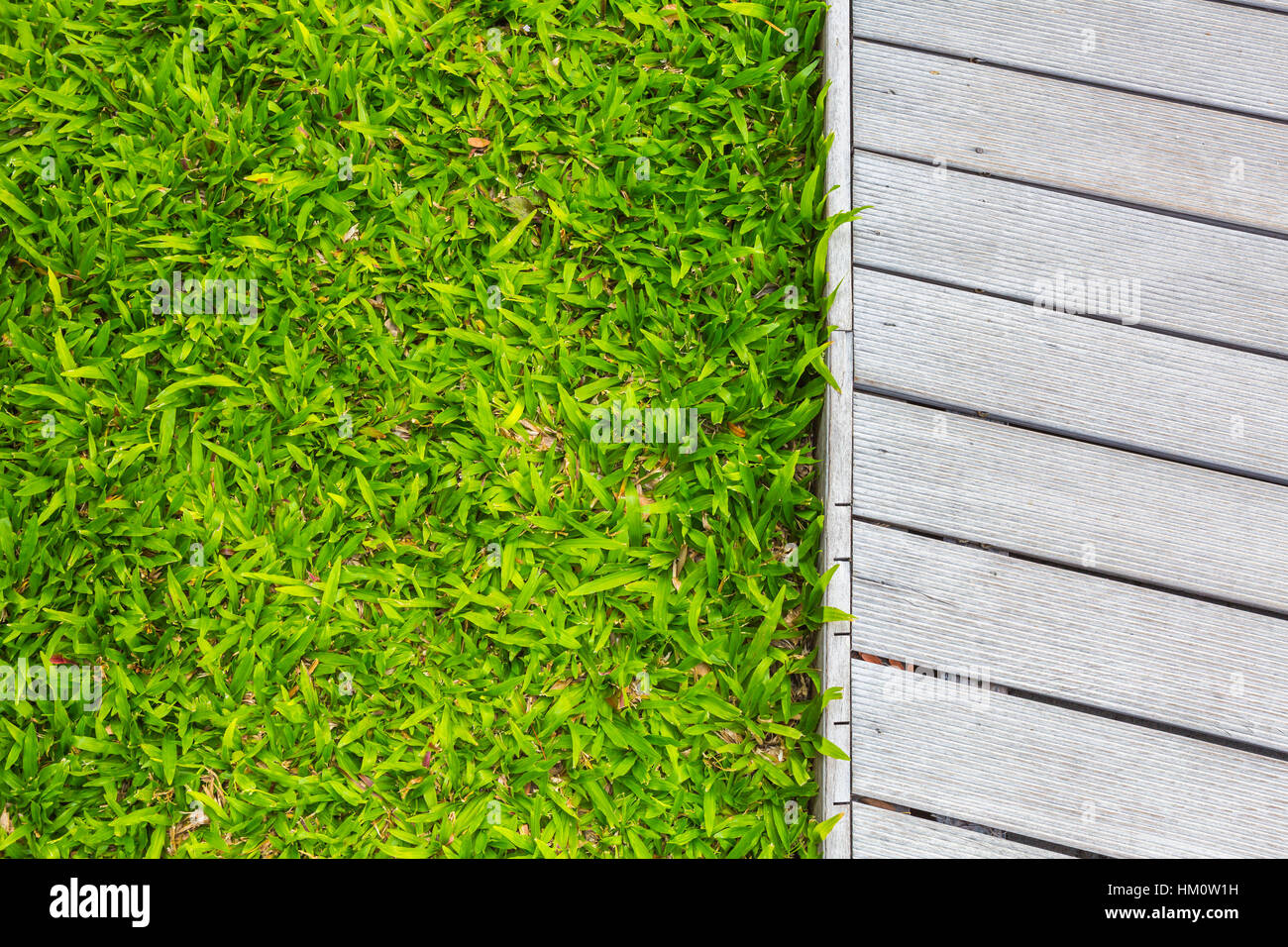 Fresh spring green grass with wood floor Stock Photo - Alamy