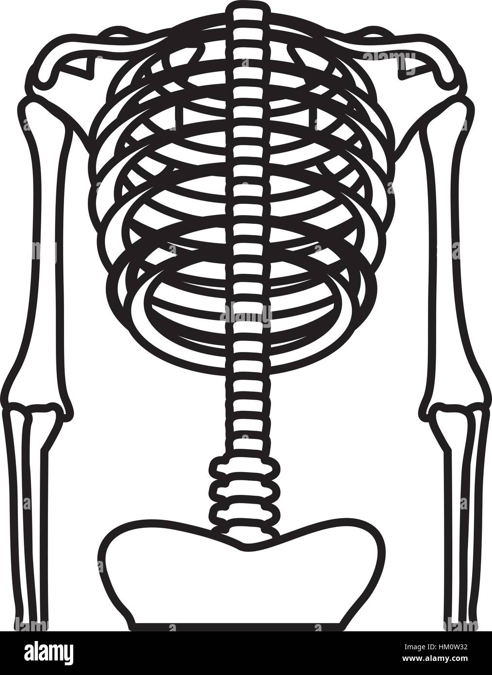 monochrome silhouette with half body with system bones and vertebrae ...