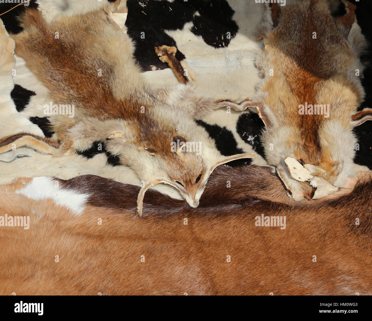 Furs goods hi-res stock photography and images - Alamy
