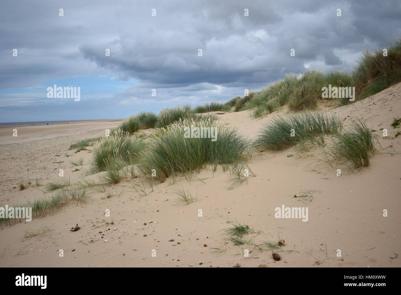 Sand dunes at Holkham beach Stock Photo - Alamy