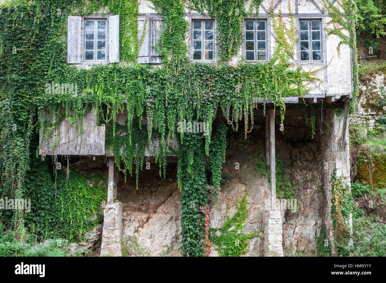 Ivey covered river side building Lot France Stock Photo - Alamy