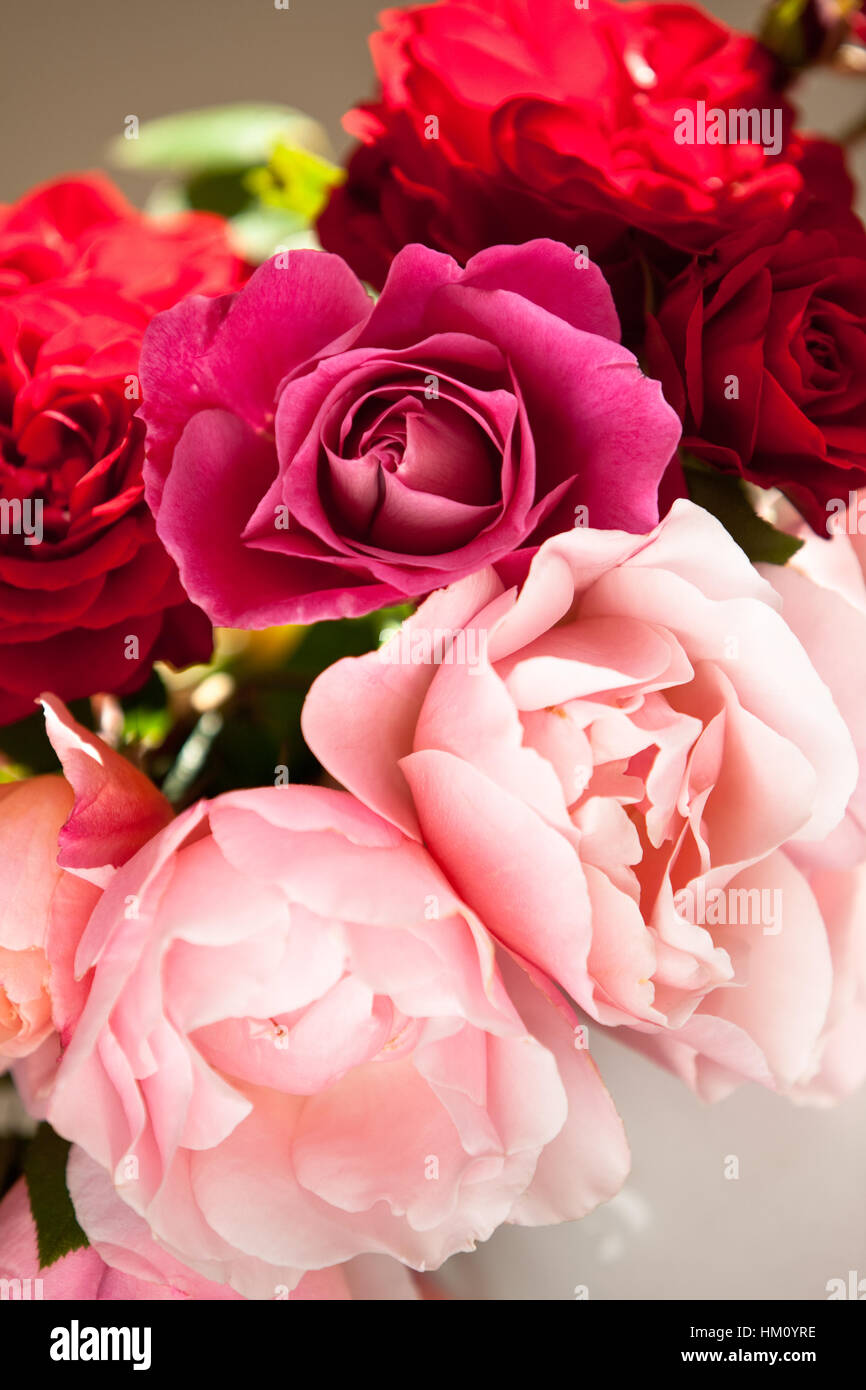 Bouquet of Red and Pink Roses Stock Photo - Alamy