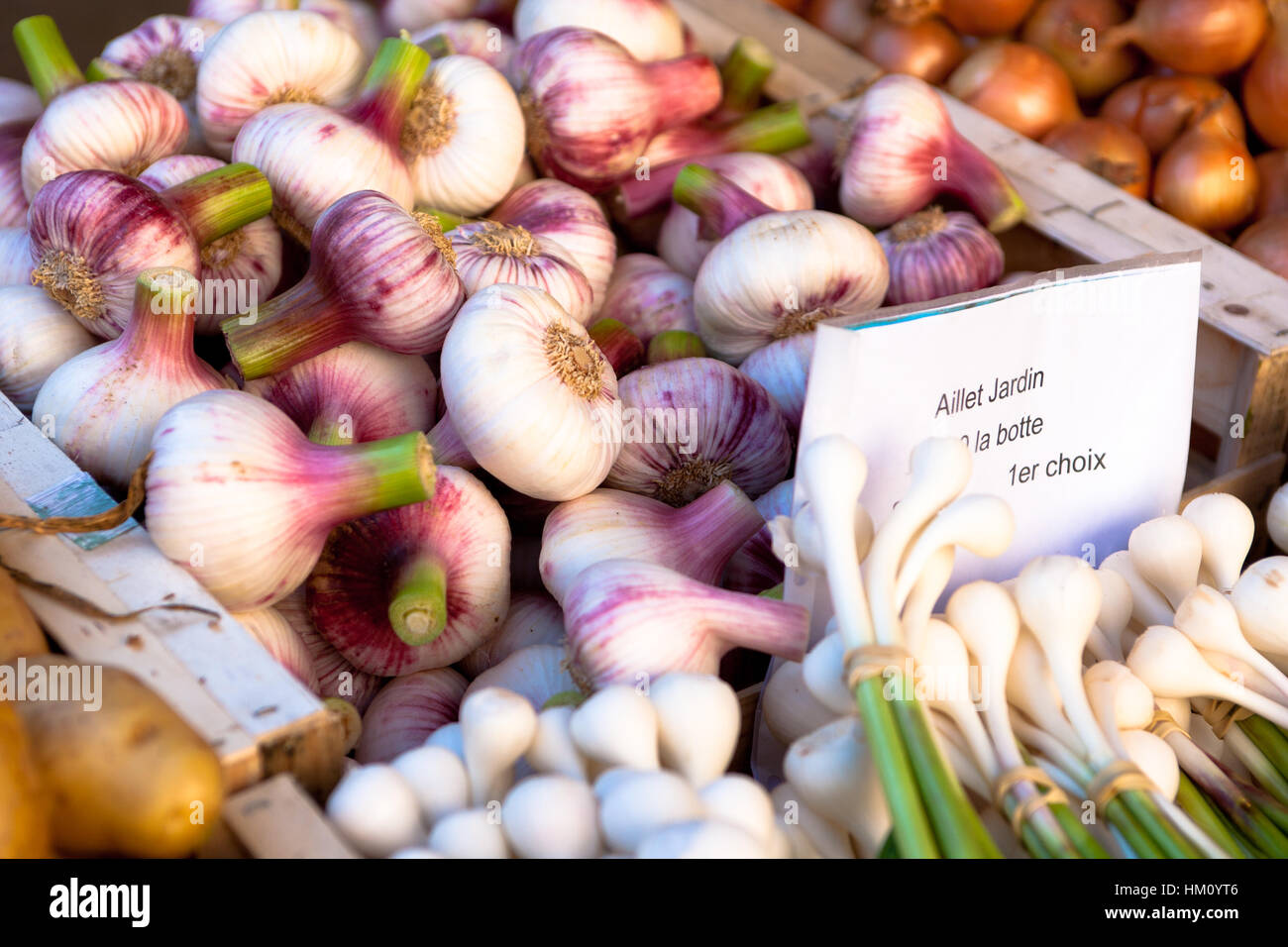 Garlic Market France Healthy Bulbs High Resolution Stock Photography ...