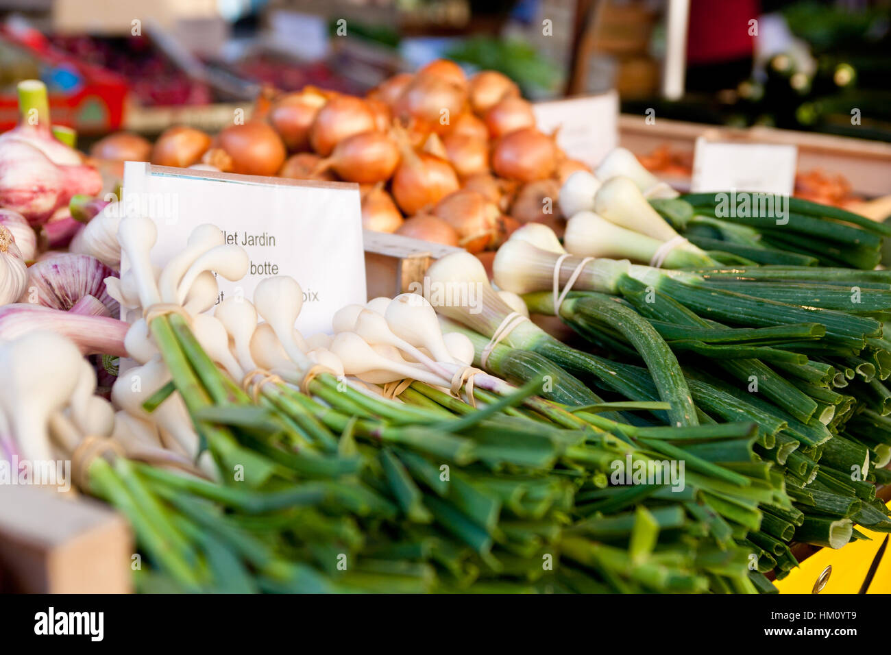 Garlic Market France Healthy Bulbs High Resolution Stock Photography ...