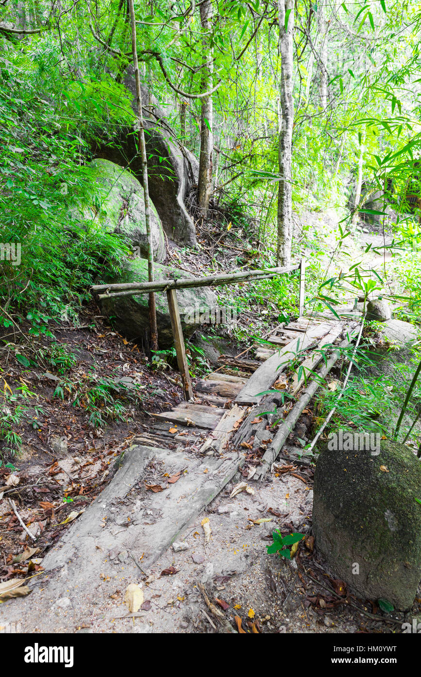 Old wood bridge in forest Stock Photo - Alamy