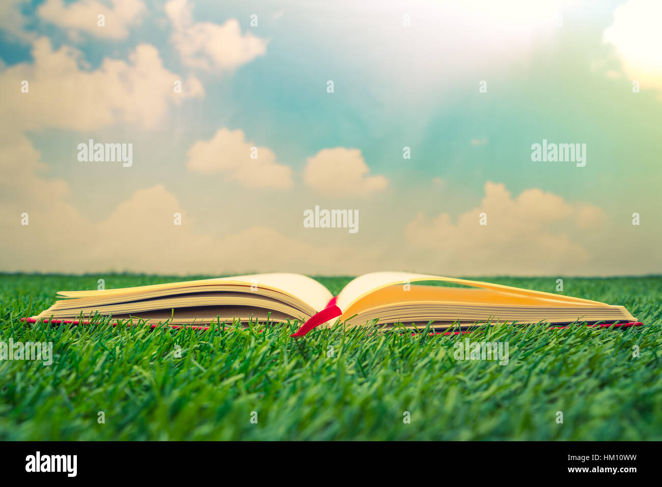 Notebook on spring green grass Stock Photo - Alamy