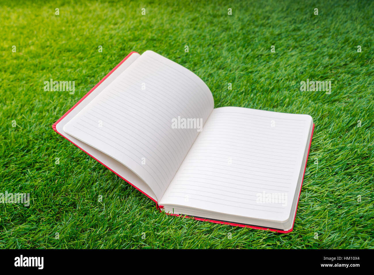 Notebook on spring green grass Stock Photo - Alamy