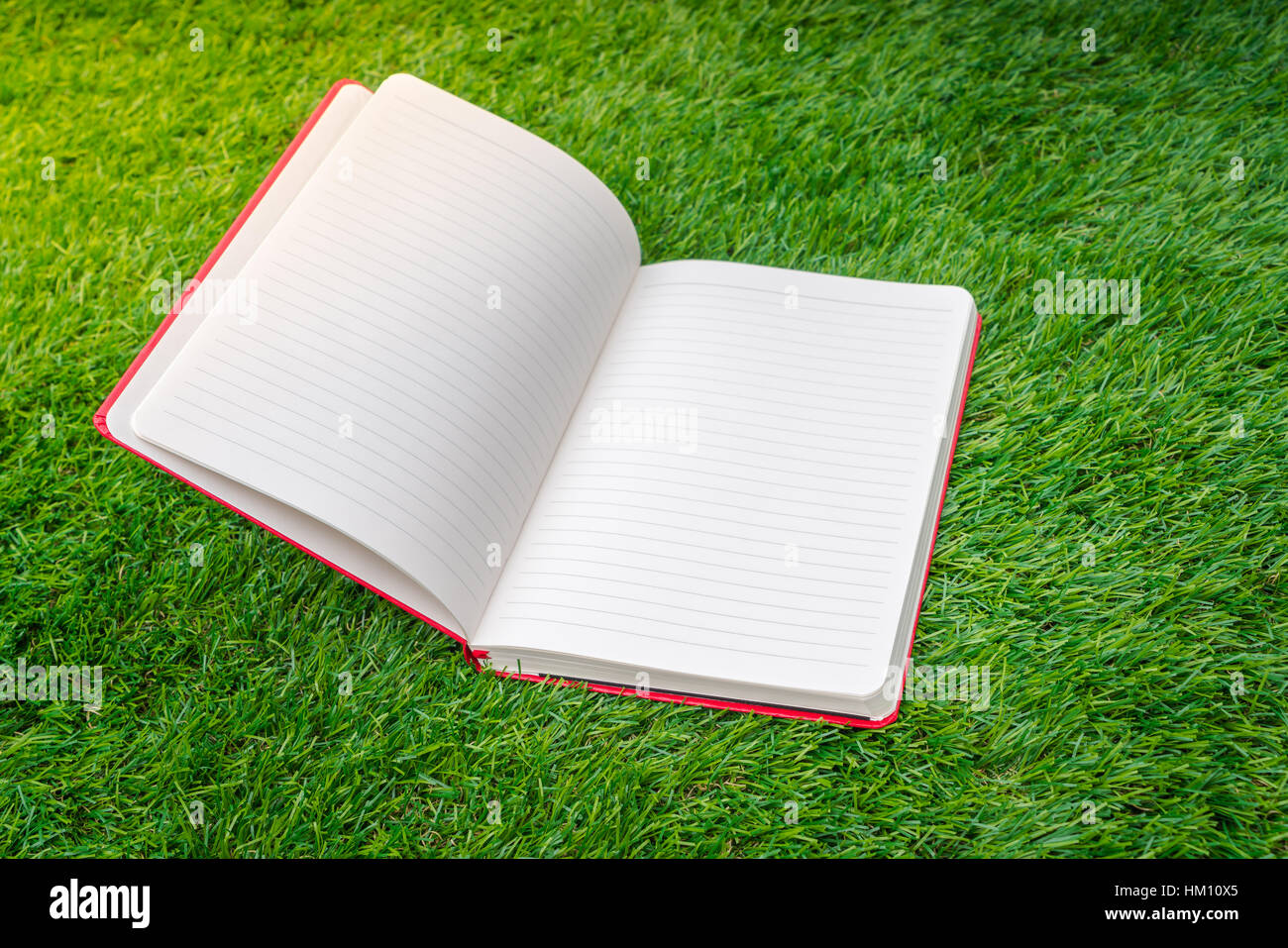 Notebook on spring green grass Stock Photo - Alamy