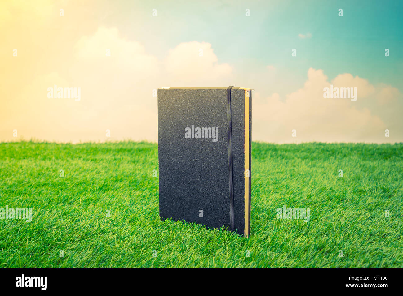 Notebook on spring green grass Stock Photo - Alamy