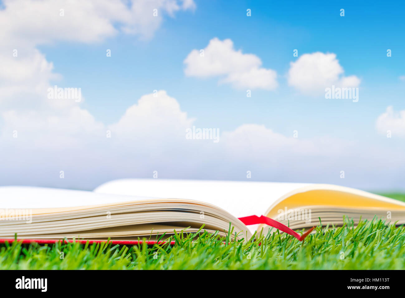 Notebook on spring green grass Stock Photo - Alamy