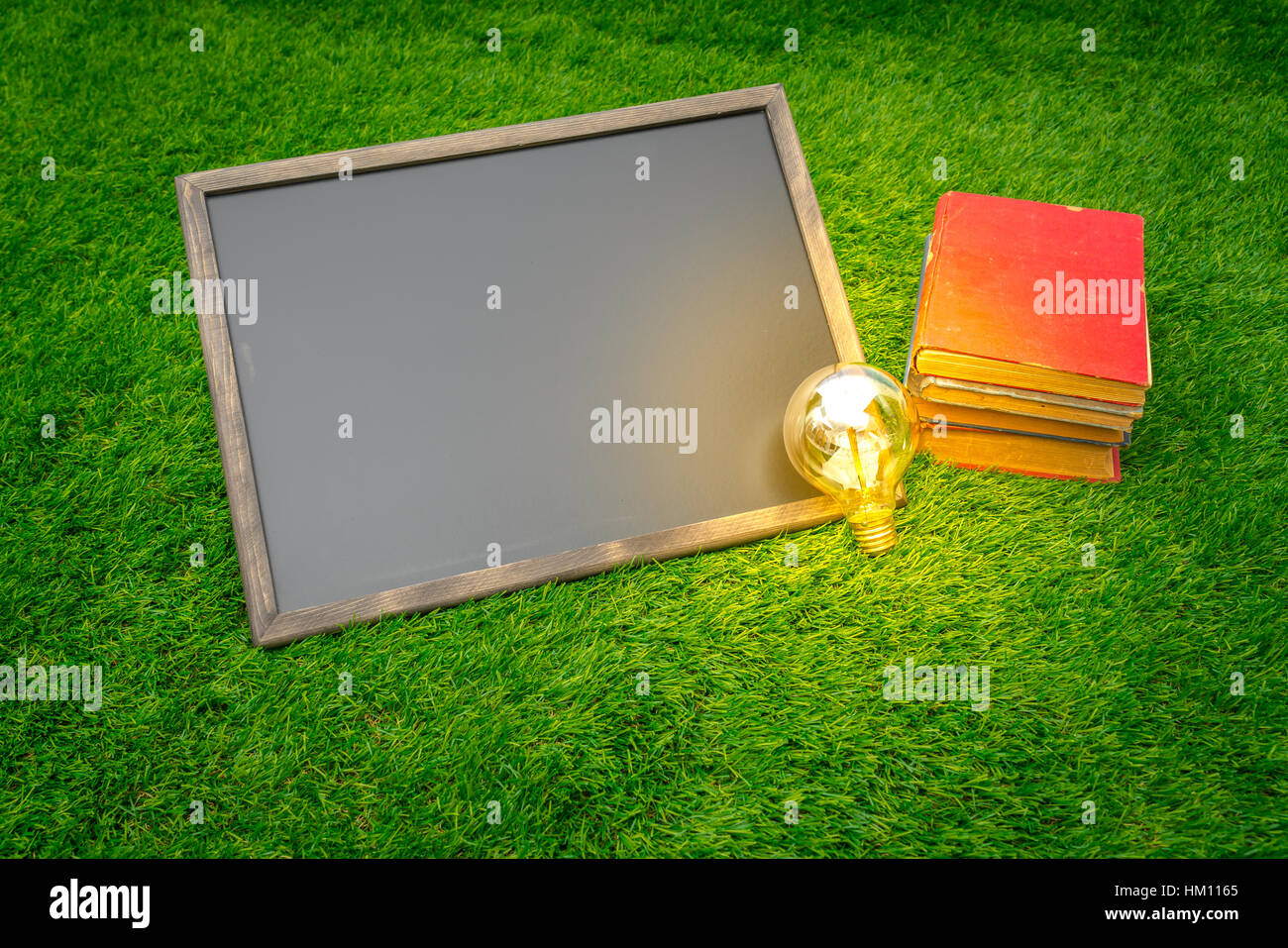 Blank black board and light bulb on grass field Stock Photo - Alamy