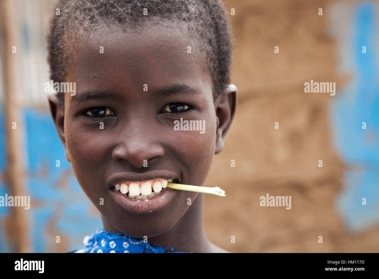 Boy cleaning his teeth with chewing twig Stock Photo - Alamy