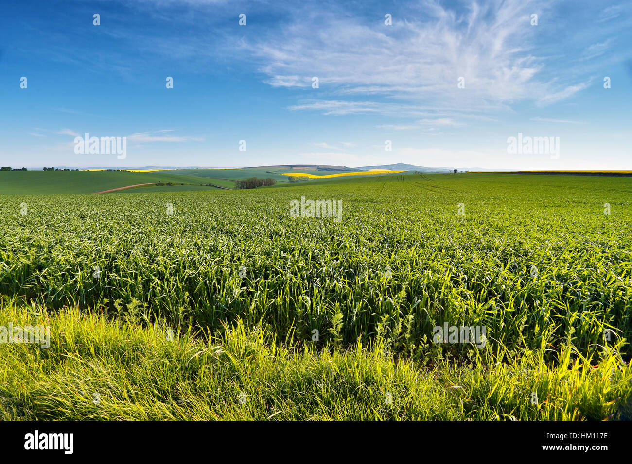 Green hills agriculture fields hi-res stock photography and images - Alamy