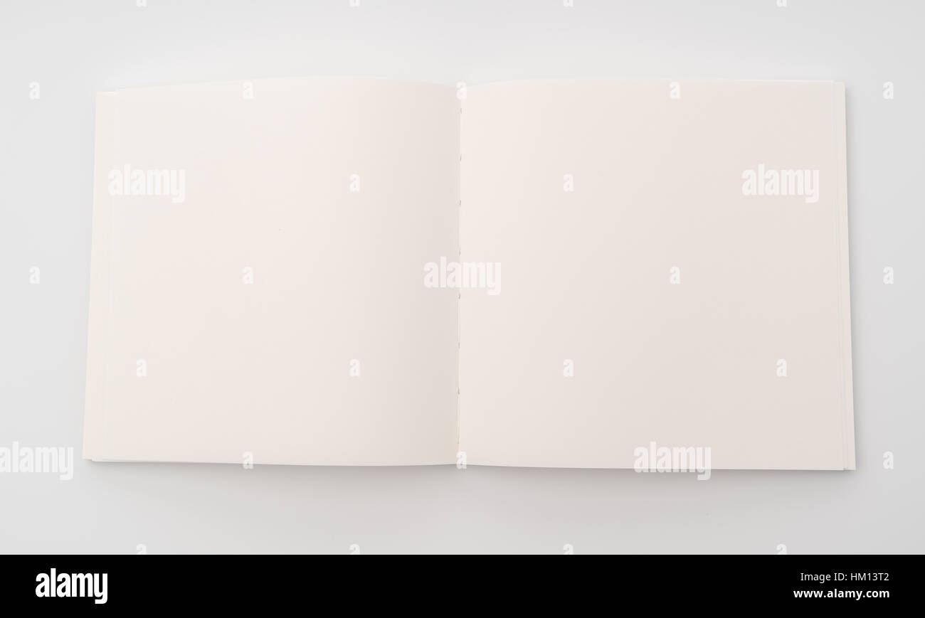 Blank catalog,brochure, magazines,book mock up on white background ...
