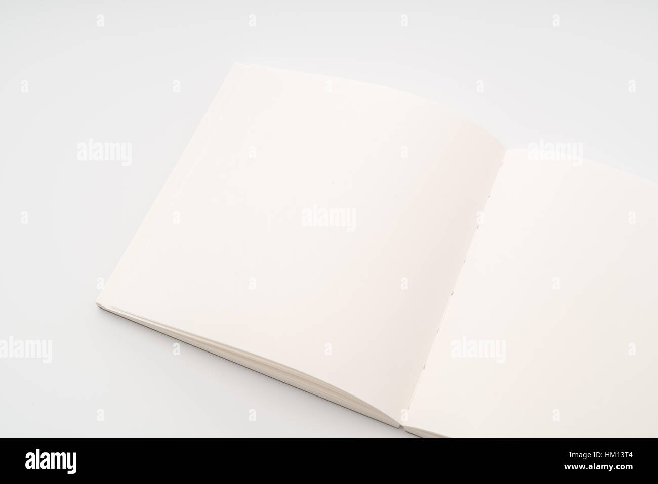 Blank catalog,brochure, magazines,book mock up on white background ...