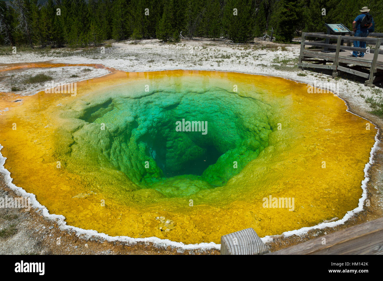 Morning Glory Pool, Upper Geyser Basin, Yellowstone National Park ...