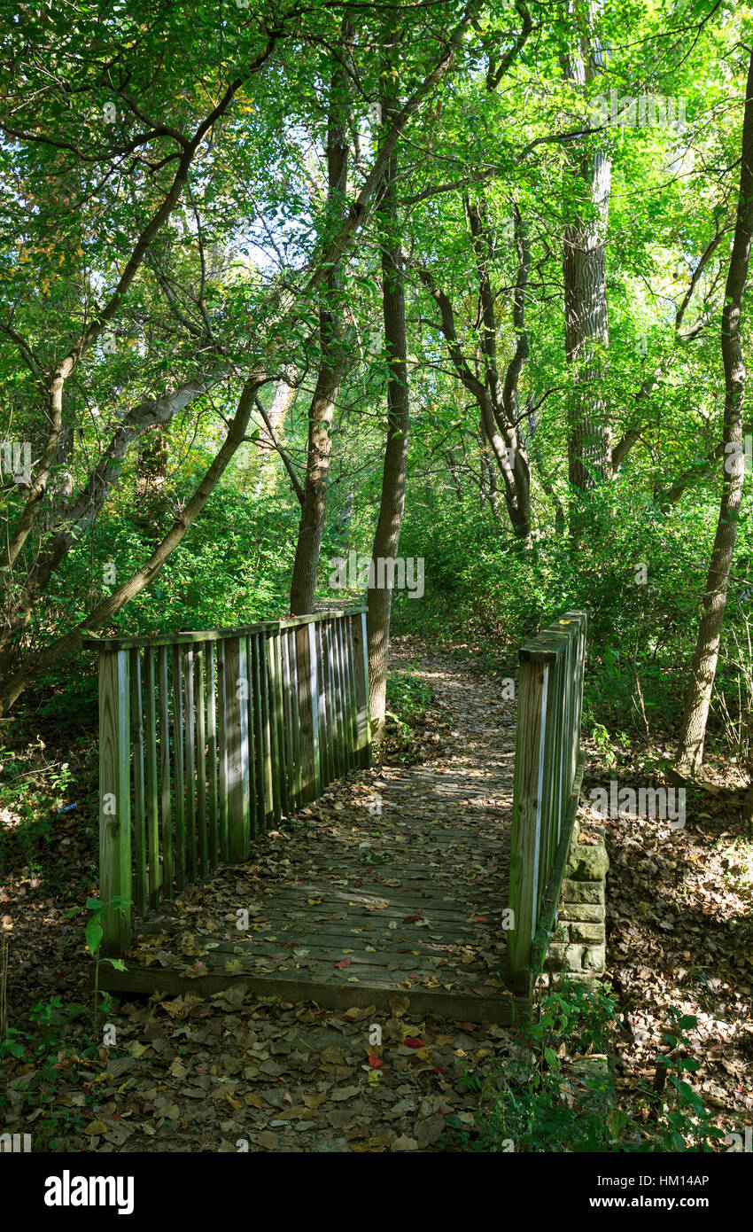 Forest path bridge hi-res stock photography and images - Alamy