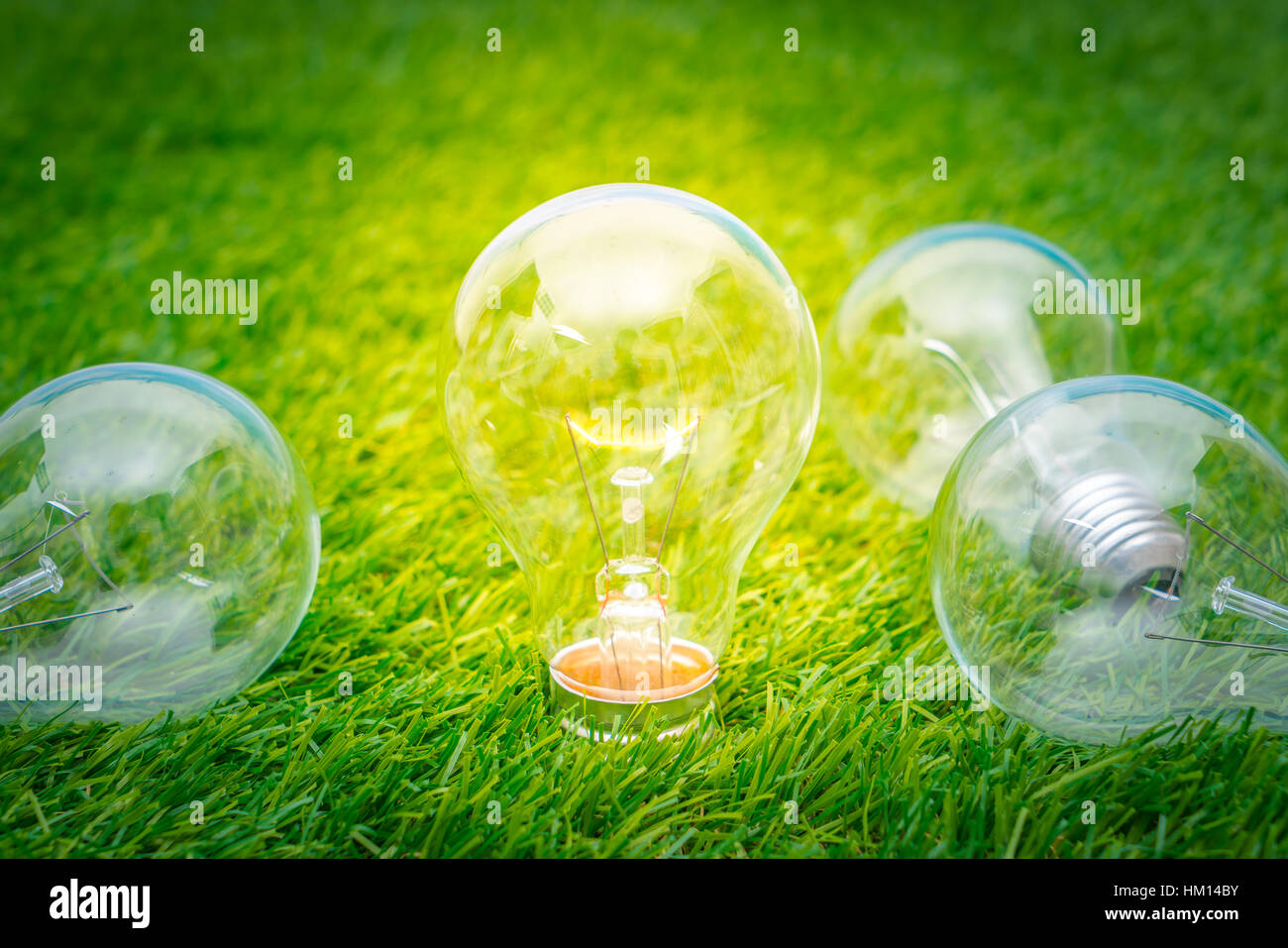 Eco concept - light bulb grow in the grass Stock Photo - Alamy